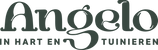 Webshop – Angelo