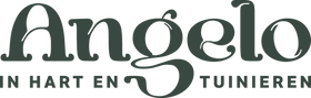 Boeken – Angelo