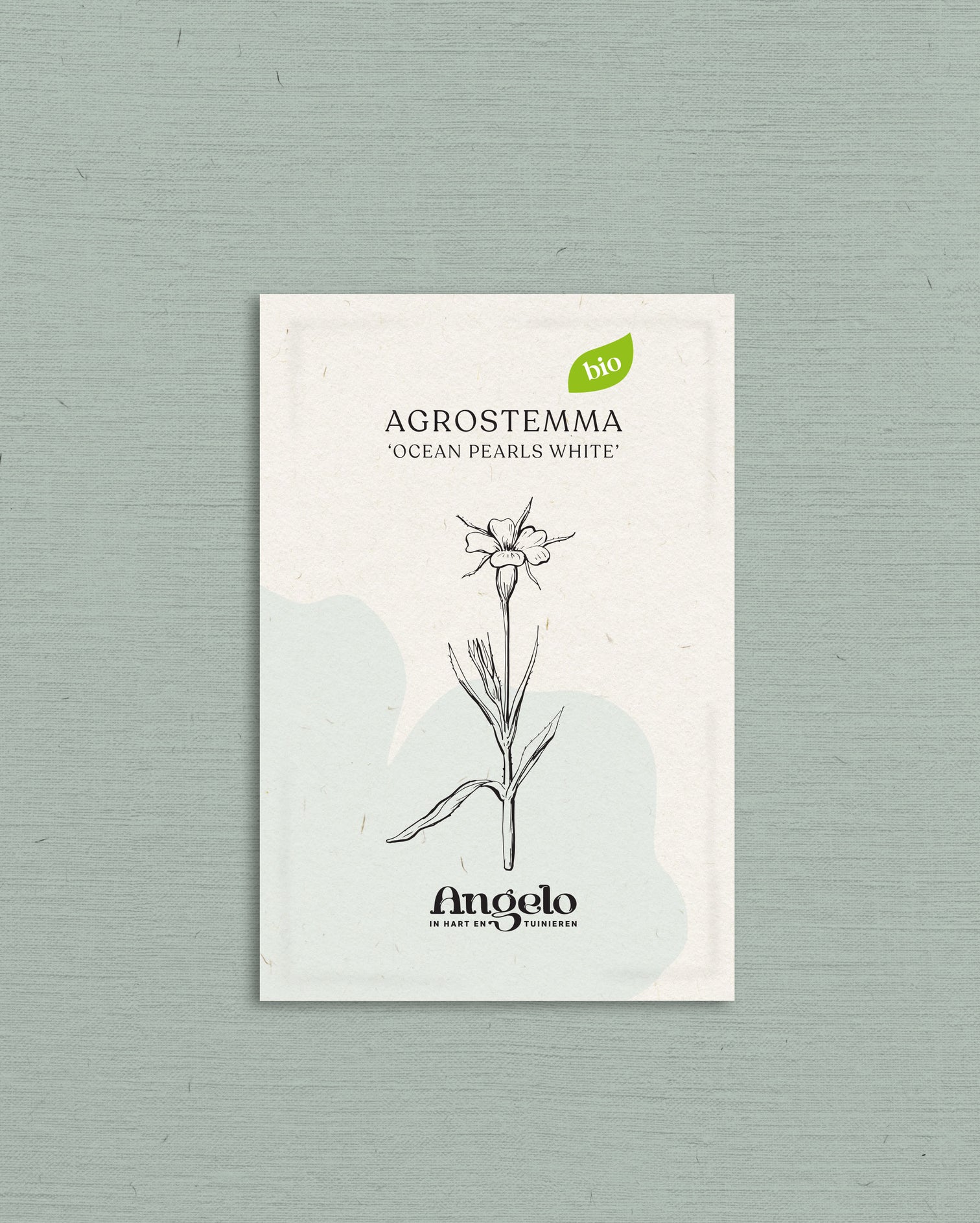 Bloemen - Eenjarigen – Angelo