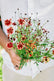 Coreopsis hybrida 'incredible! sea shells mix' – Angelo
