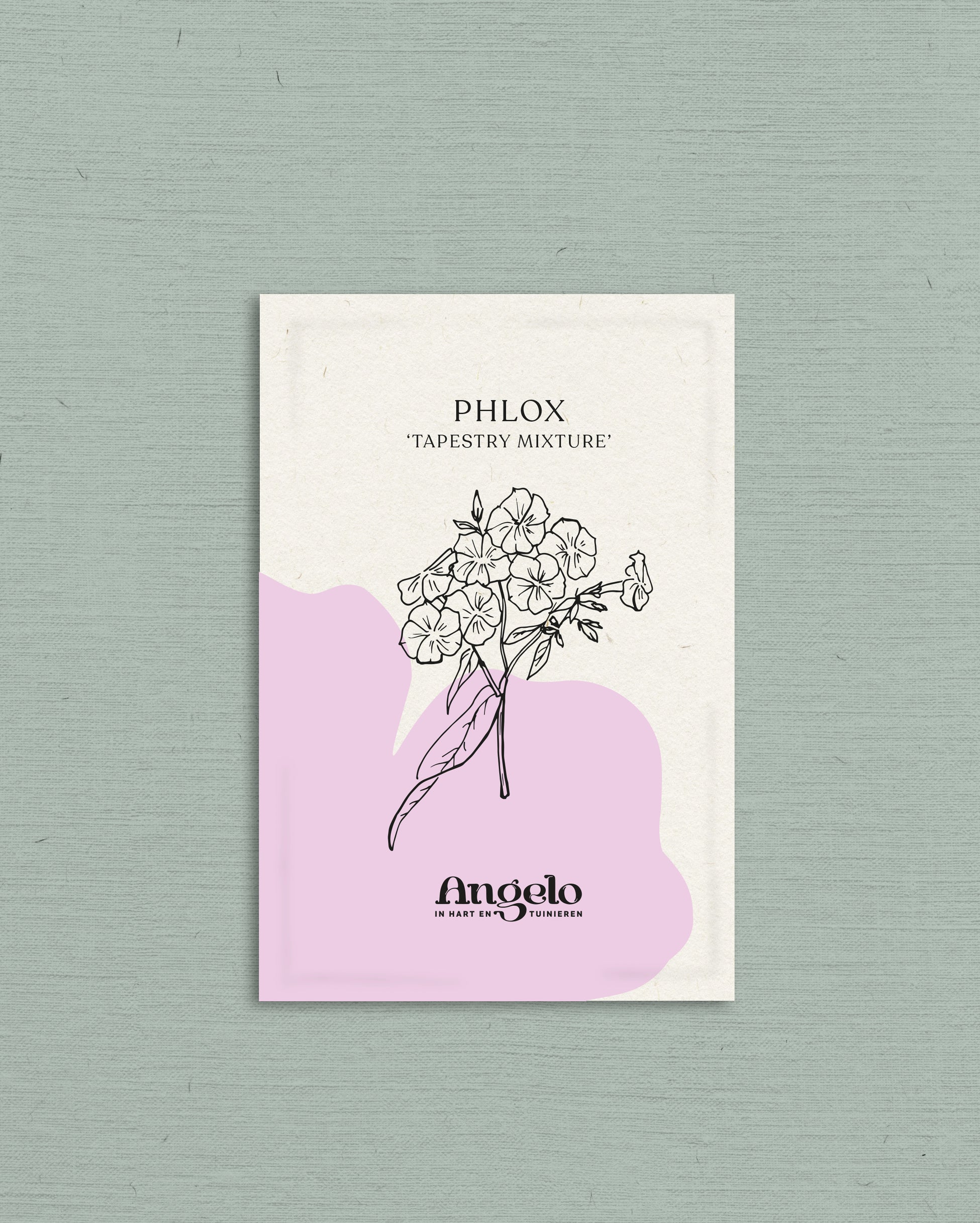 Phlox drummondii grandiflora 'tapestry mixture' – Angelo